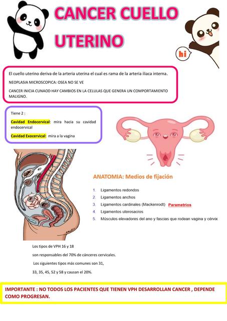 Cáncer Cuello Uterino | LIZ SAGASTEGUI | uDocz