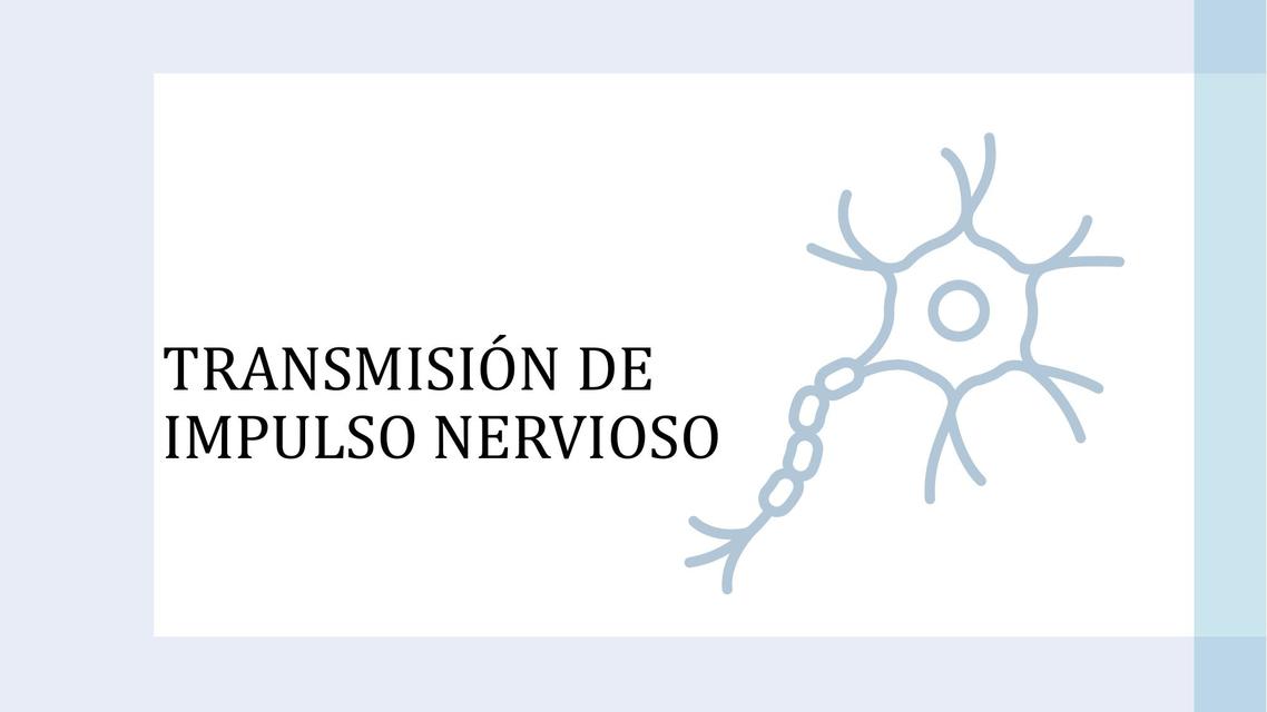 Transmisión de Impulso Nervioso | Nancy Ortega | uDocz
