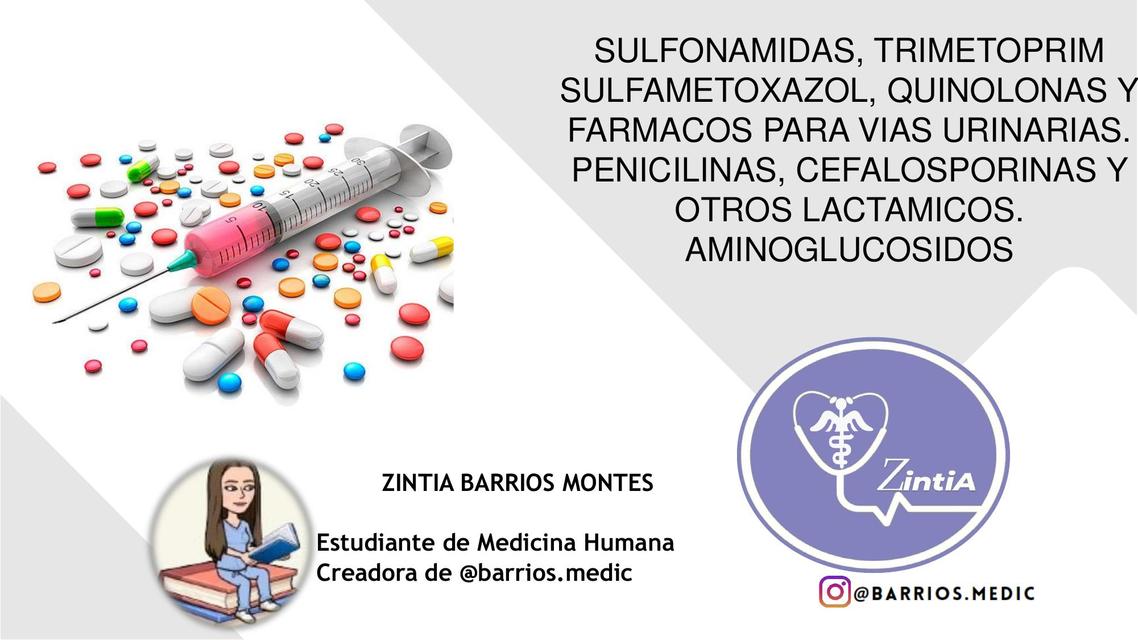 Sulfonamidas, trimetoprim, sulfametoxazol, quinolonas y fármacos para ...