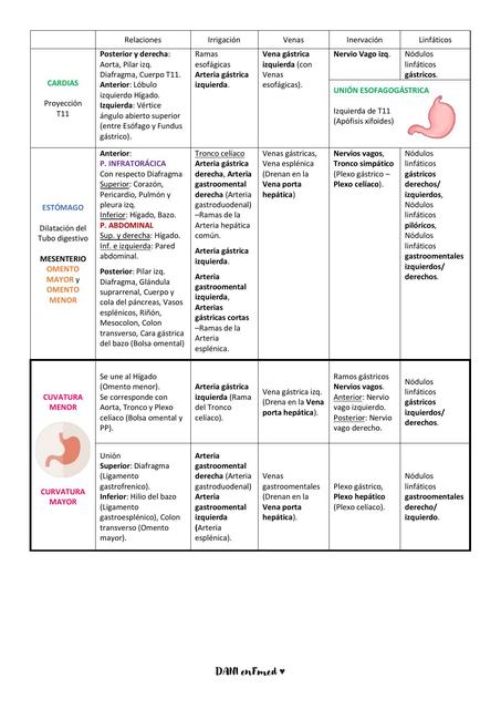 Supramesocolico | DANIenFmed | uDocz