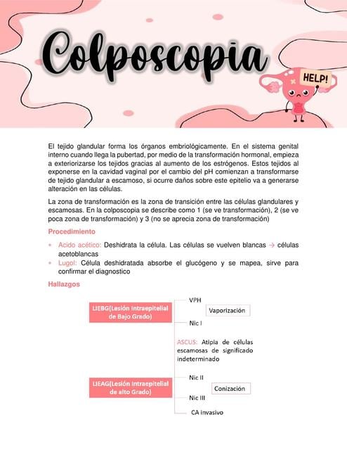 Resúmenes de Colposcopía | Descarga apuntes de Colposcopía