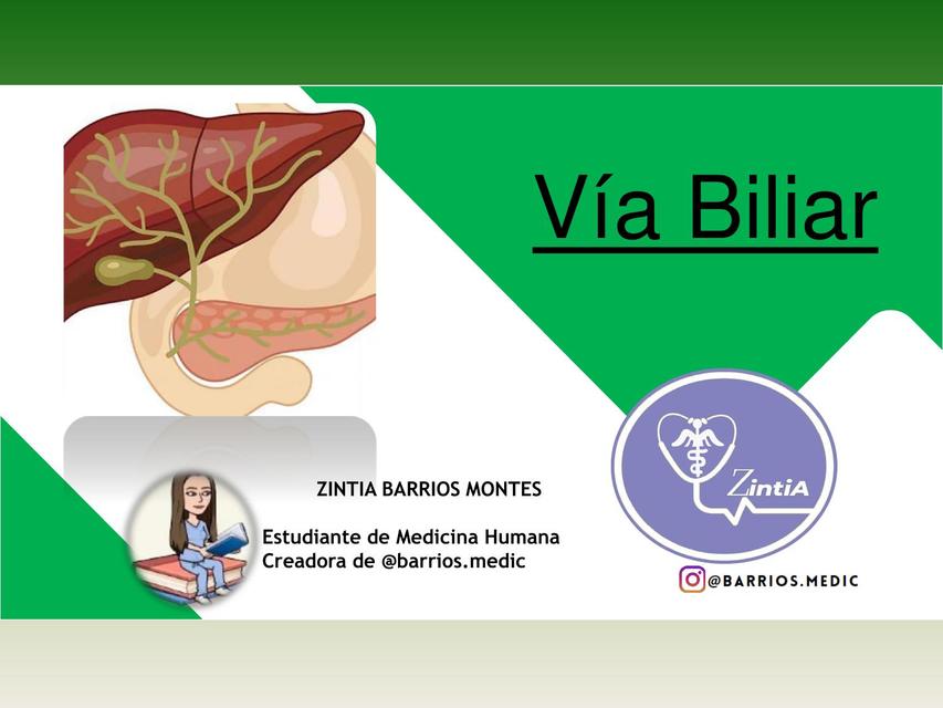 Vía biliar | BARRIOS MEDIC 👩‍⚕️📚 | uDocz