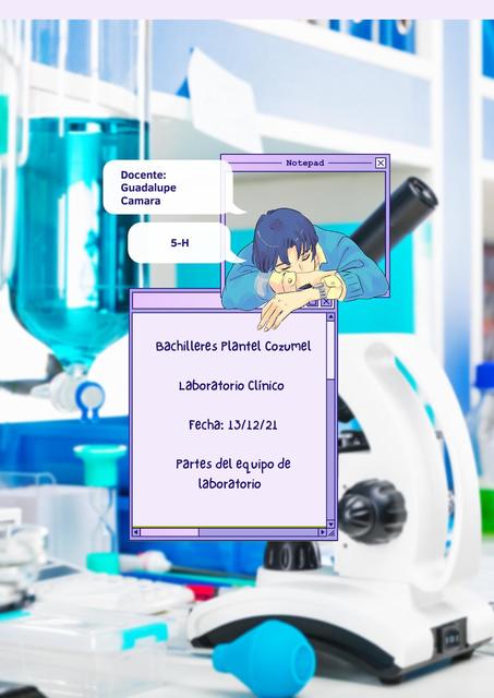 Partes de los Equipos de Laboratorio | SHIRLEY ARCEO | uDocz