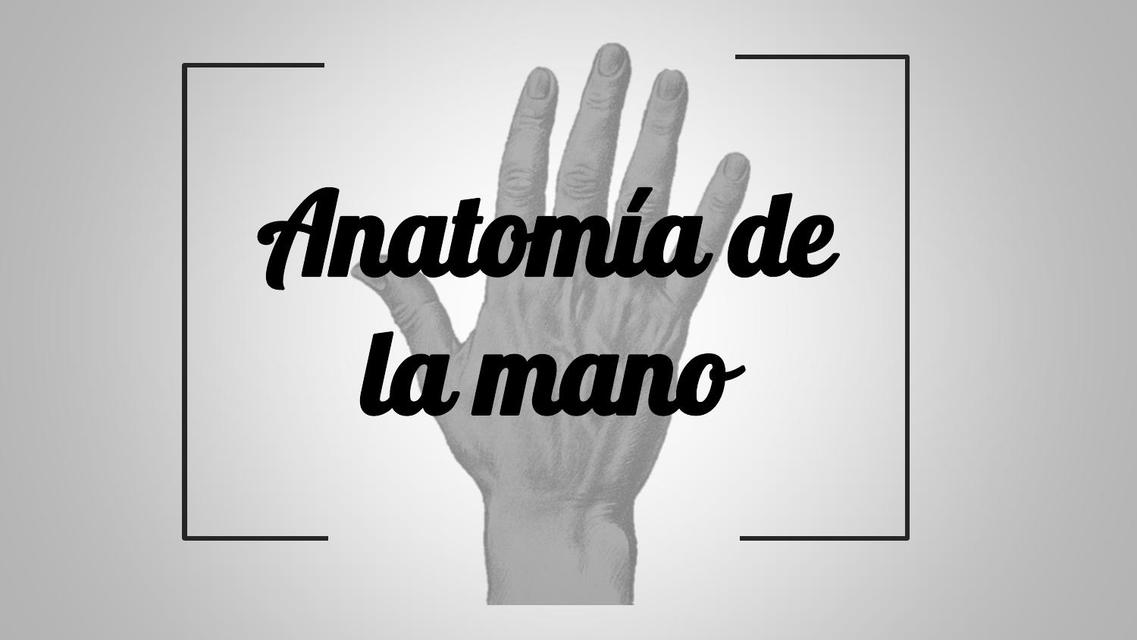 Anatomía de la Mano: Huesos del Carpo | Jahir Quino Palafox | uDocz