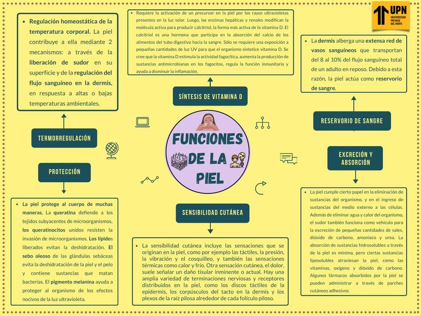 Funciones de la Piel