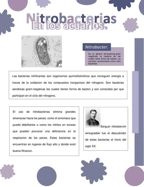 Nitrobacterias | Christian del Carmen Perez Julian | uDocz