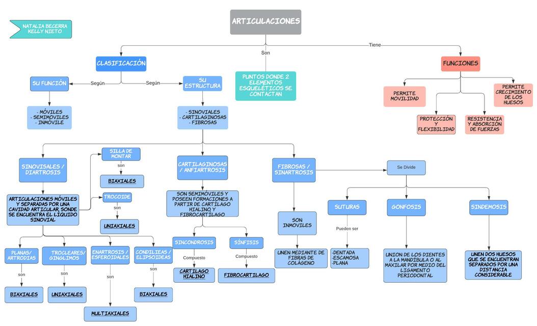 Articulaciones | Kelly Nieto | uDocz