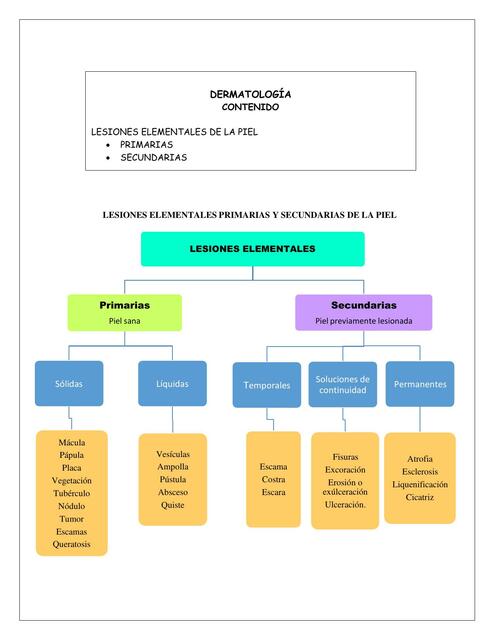 Lesiones Elementales de la Piel | Gina P | uDocz