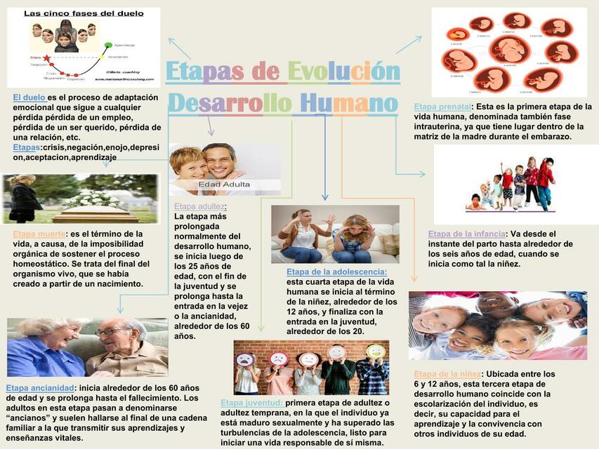 Etapas Del Desarrollo Humano Psicologia Pptx - Infoupdate.org