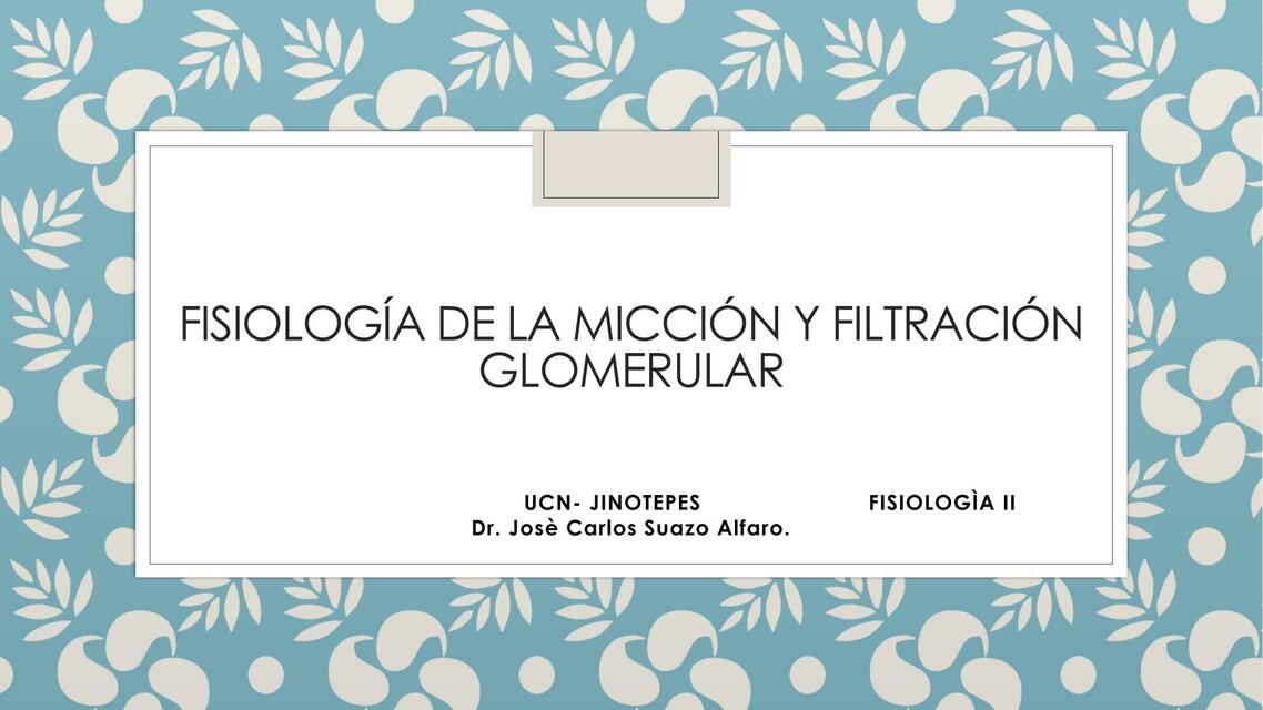 Fisiología de la Micción | Hiroshy | uDocz