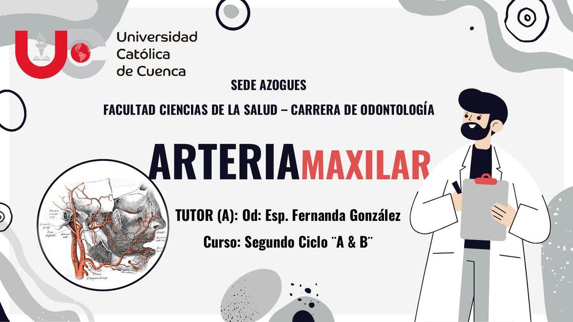 Resúmenes de Arteria Maxilar | Descarga apuntes de Arteria Maxilar