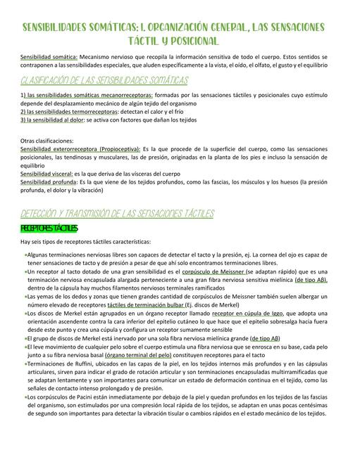 Sensibilidades somáticas: I. Organización general, las sensaciones táctil y posicional | Diana ...