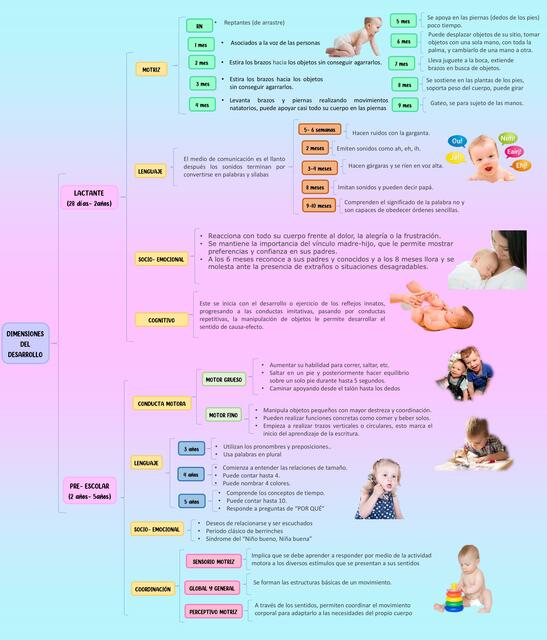 Dimensiones del Desarrollo del Lactante y Pre Escolar | Nurse Ara | uDocz