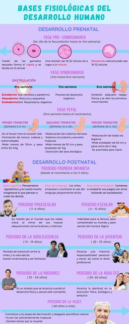 Bases Fisiológicas del Desarrollo Humano | Nurse Ara | uDocz