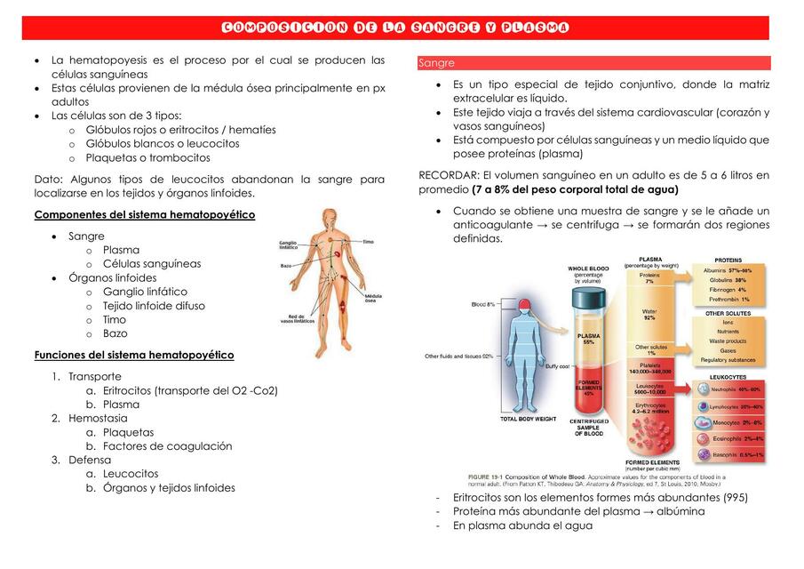 Composición de la Sangre y el Plasma | Angie Correa | uDocz