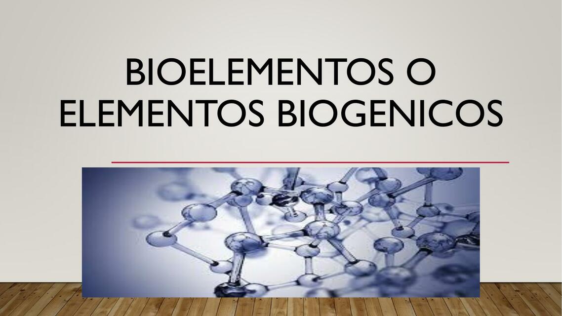 Bioelementos o Elementos Biogénicos | Bryan Josue Zambrano Anchundia ...