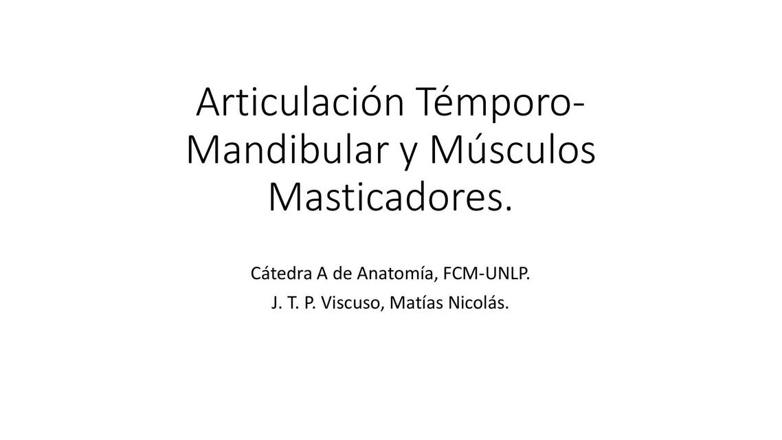Flashcards de Articulación Témporo-Mandibular y Músculos Masticadores ...