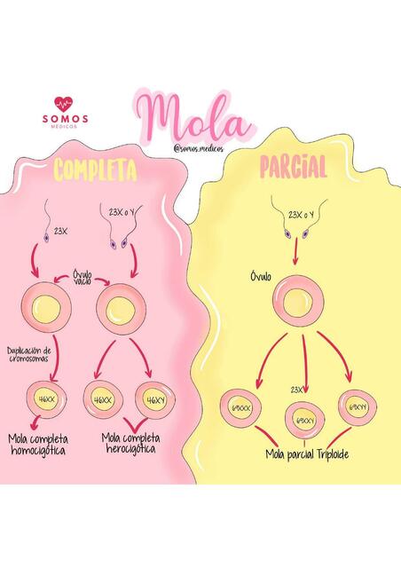 Mola | Fanpage Somos Médicos | uDocz