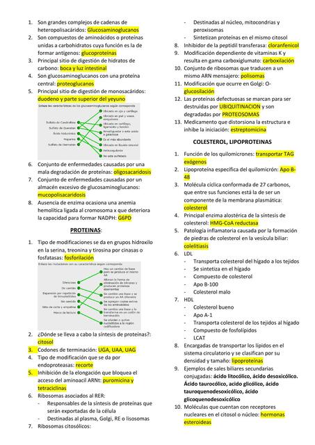 Tests De Bioquímica Mayra Desposorio Udocz