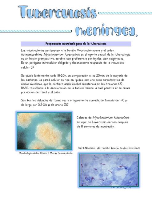 Tuberculosis meníngea | Moranotes_med | uDocz