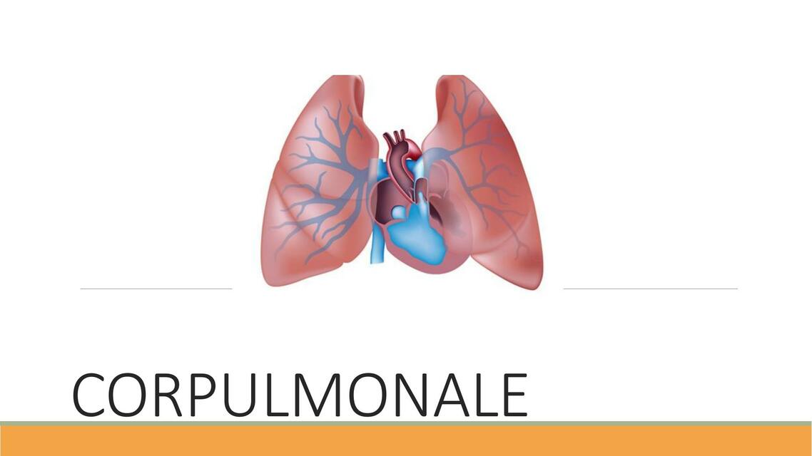 Flashcards de Corpulmonale | Por Cintia Solano Quispe | uDocz