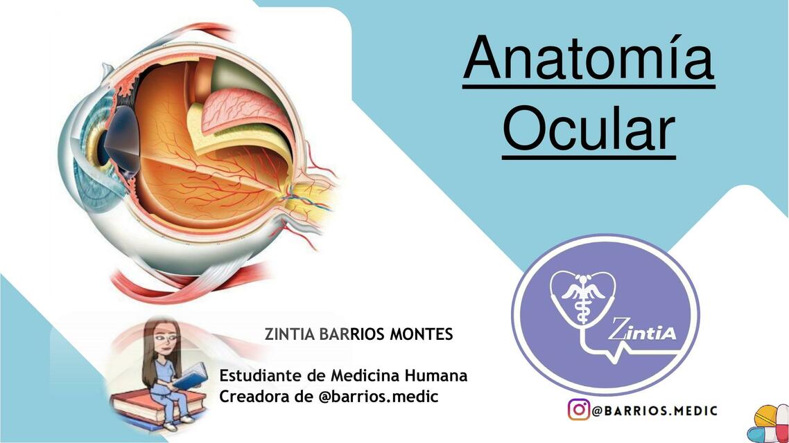 Anatomía ocular | BARRIOS MEDIC 👩‍⚕️📚 | uDocz