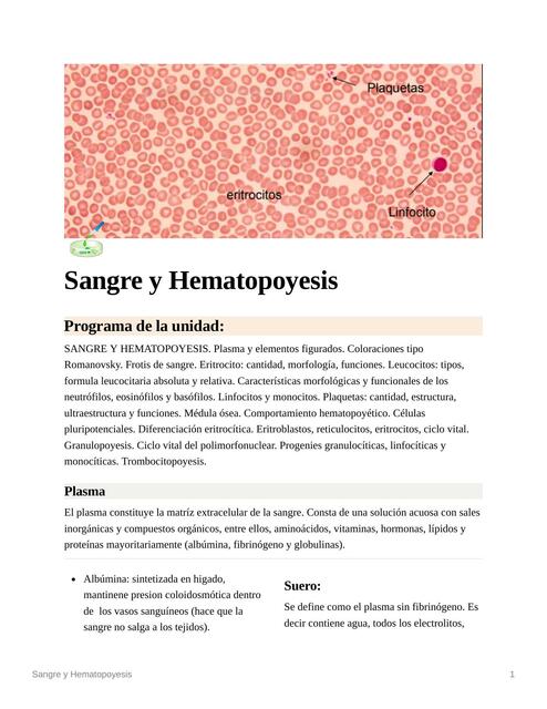 Sangre y Hematopoyesis | Valentina Ferrari | uDocz