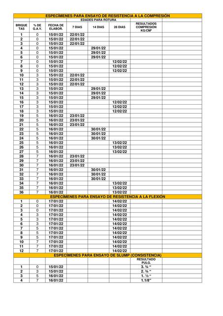 Briquetas | SAULO RODRIGUEZ | uDocz