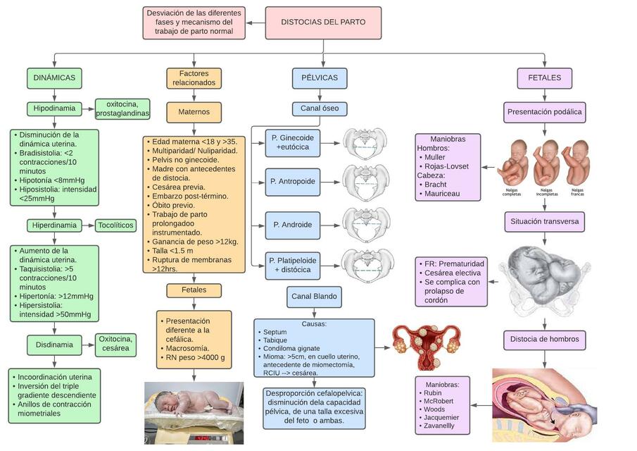 Resúmenes de Trabajo de parto | Descarga apuntes de Trabajo de parto