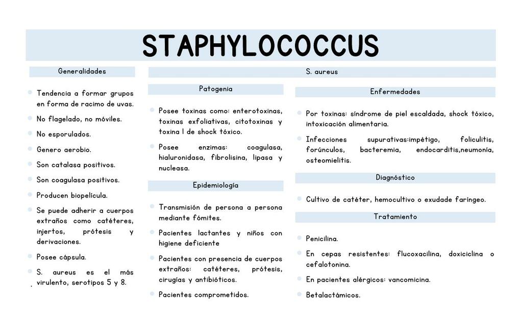 Flashcards Staphylococcus | Medic_notes | uDocz