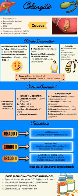 Colangitis | Allison Pacheco Villanueva | uDocz
