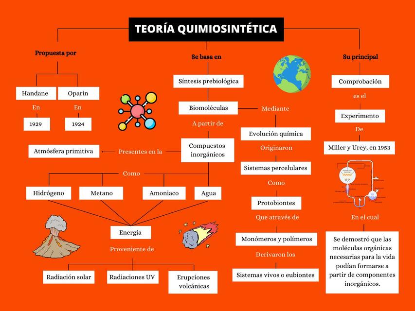 Teoría Quimiosintética | Denisse Bonilla | uDocz
