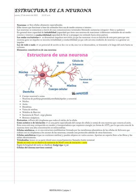 Estructura de la Neurona | Laura Sierra | uDocz