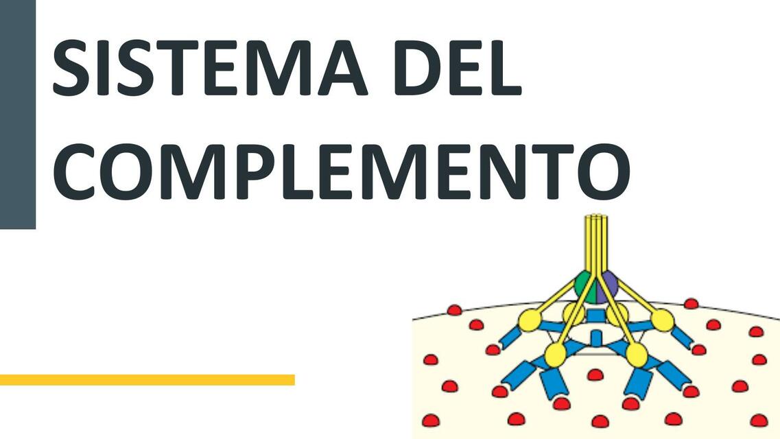 Sistema de complemento | Ale Hernández | uDocz