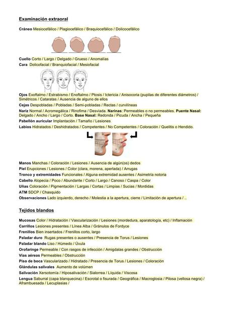 Examinación intra y extraoral dental | Renata Acosta Portilla | uDocz