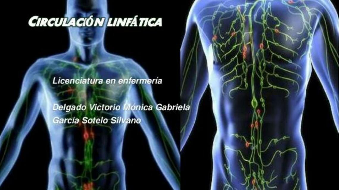 Circulación Linfática