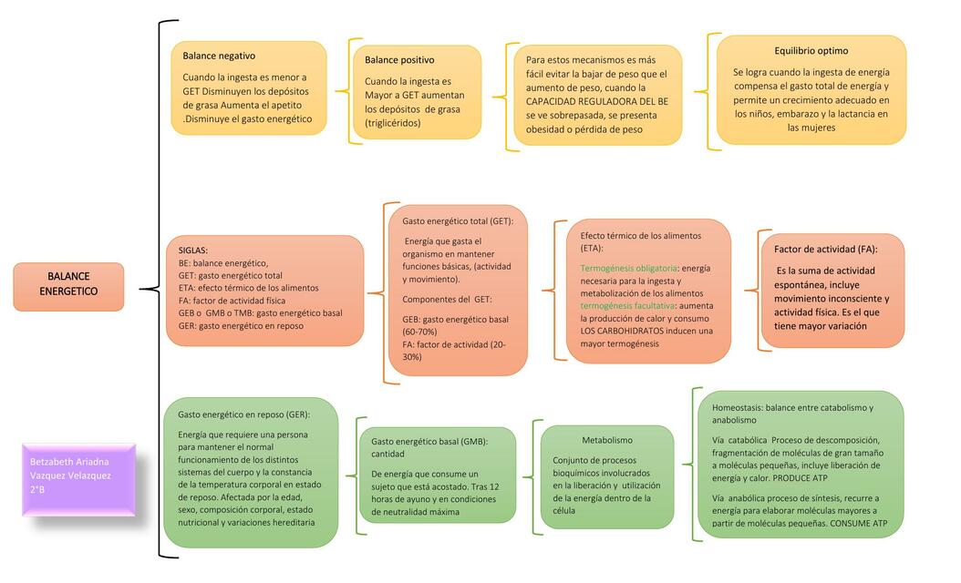 Resúmenes de Balance Energético | Descarga apuntes de Balance Energético