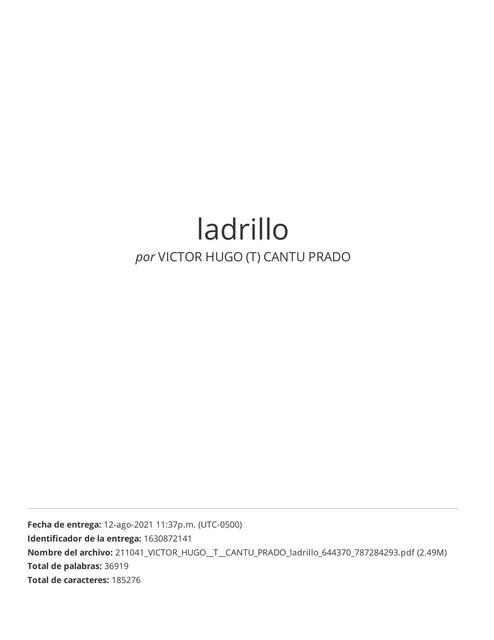 Ladrillo | danivia carrasco | uDocz