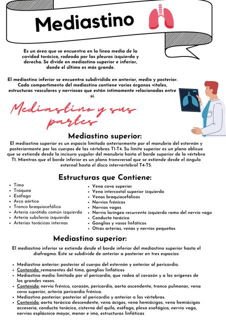 Mediastino y Sus Partes | Fernando Eslaquit | uDocz