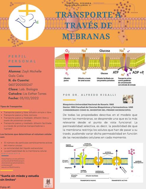 Transporte A Través De Membranas Zayli Michelle Galo Calix Udocz
