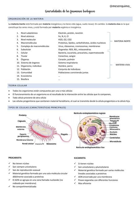 Generalidades de los Fenómenos Biológicos | uDocz