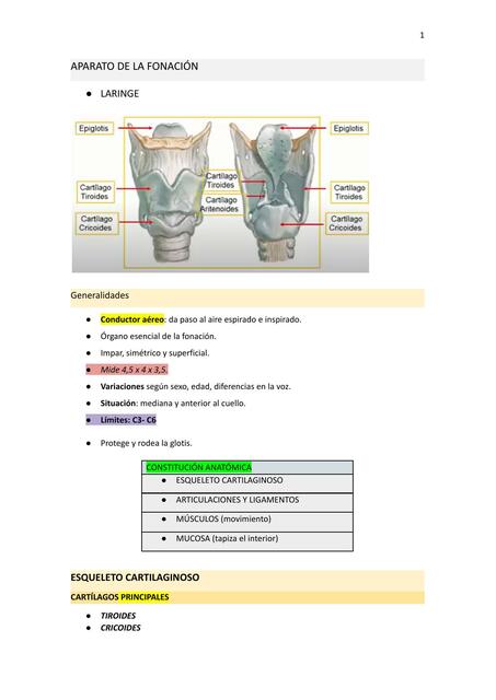 Aparato de la Fonación | Romina Belén Selaya | uDocz