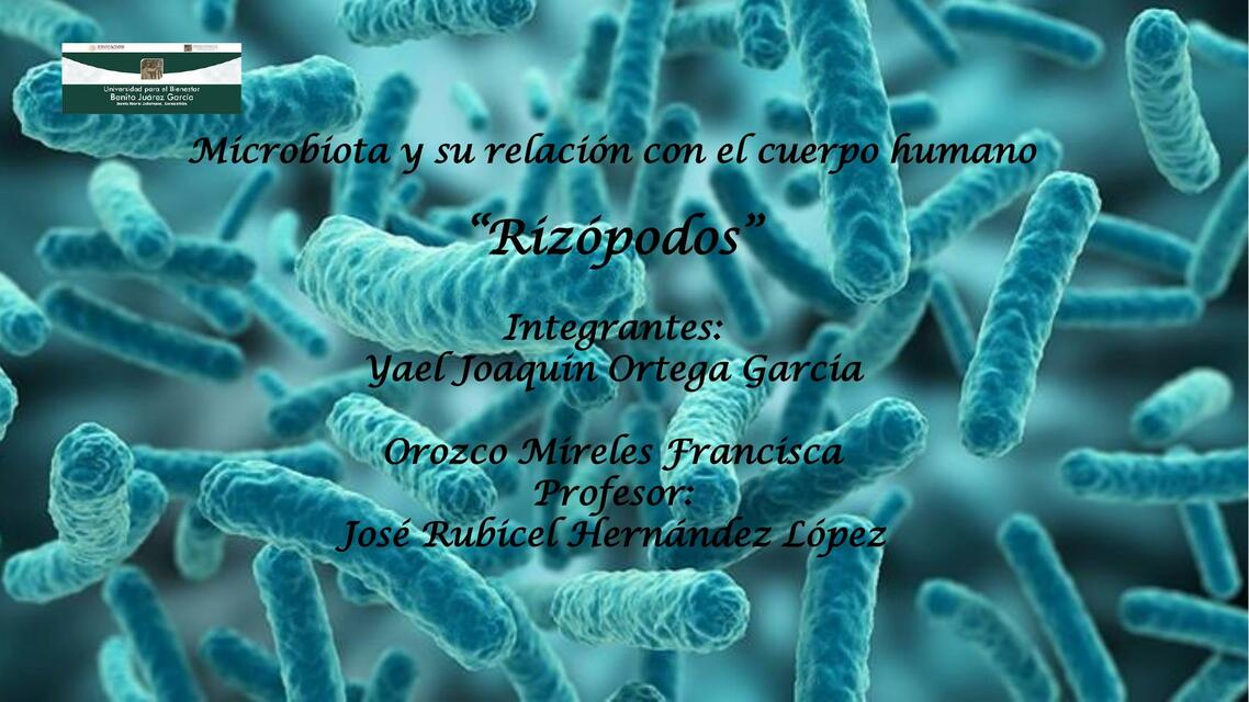 Rizópodos | ESPM MEDICINA | uDocz