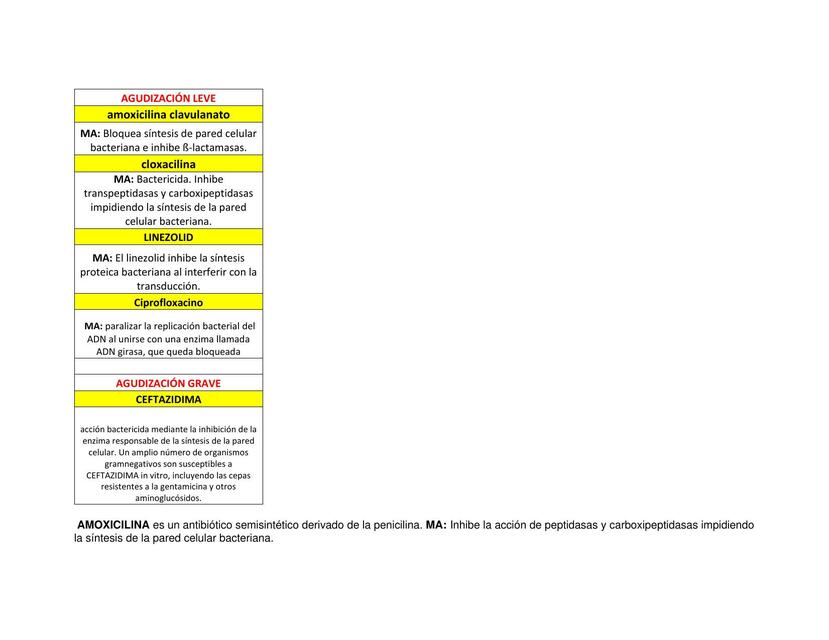 Tratamiento de Tuberculosis | Valentina Rojas | uDocz