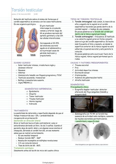 Torsión Testicular | Mary Ann Espinoza | uDocz