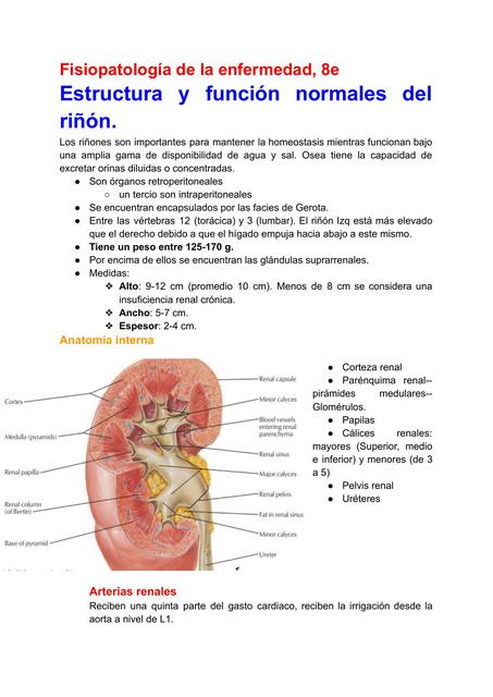 Generalidades de la Nefrología | Carolina Murillo | uDocz