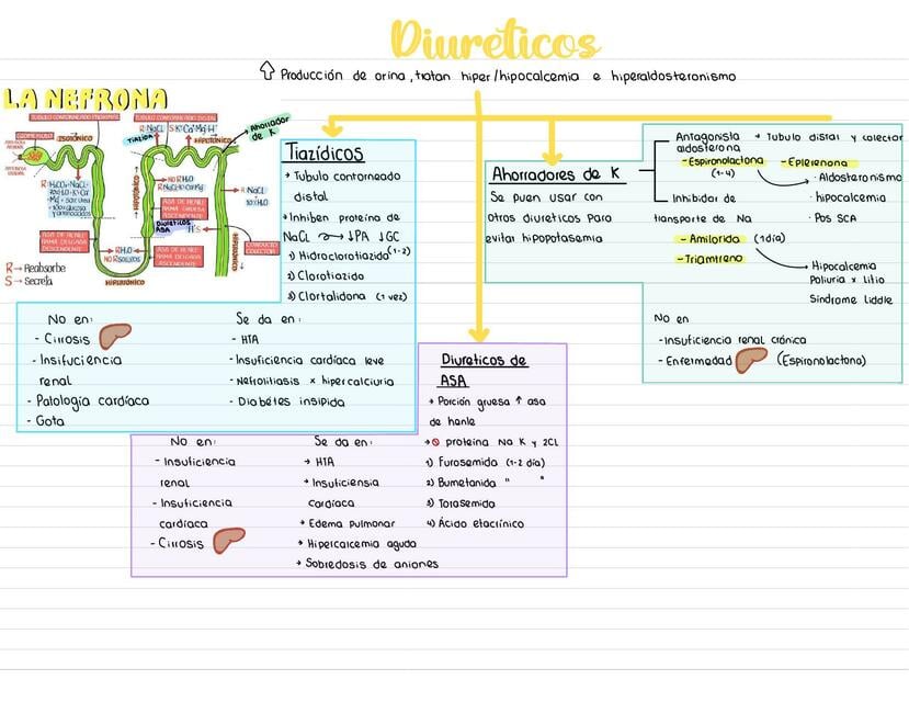 Diuréticos | Ana | uDocz