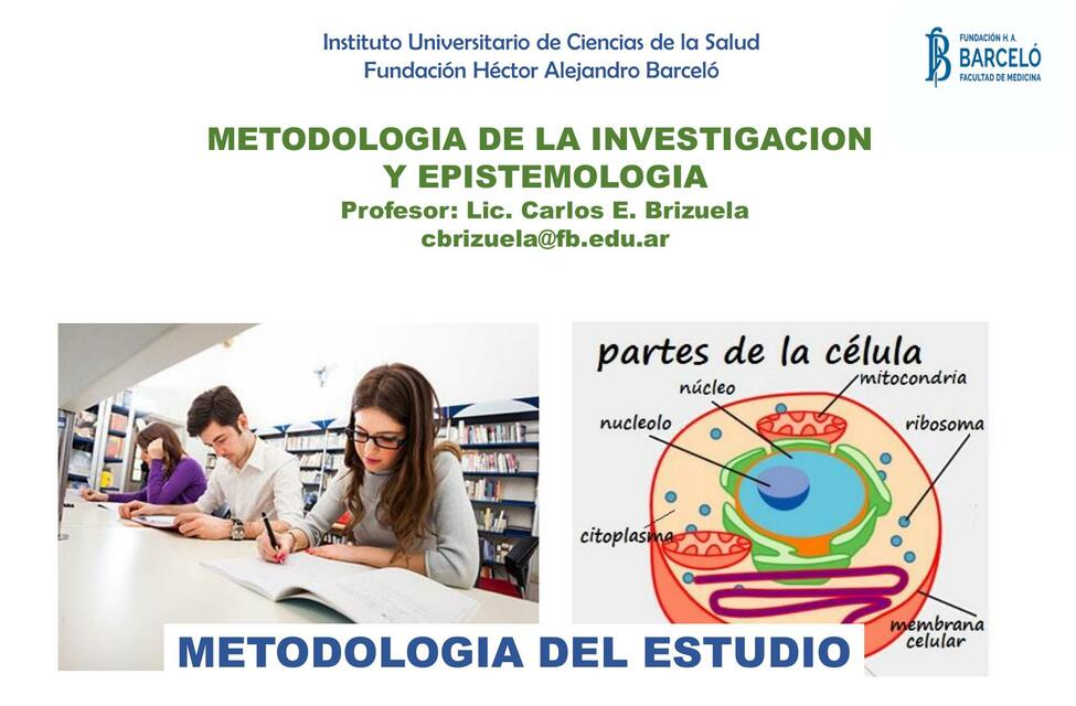 Metodología del Estudio | GMVALE | uDocz