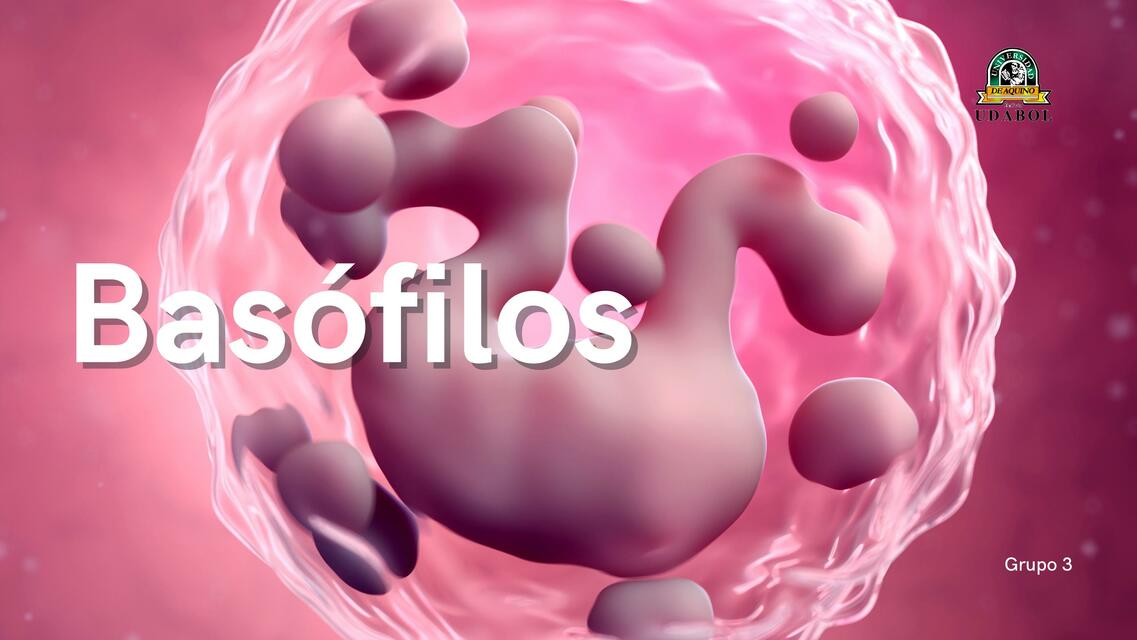 Resúmenes de Basófilo | Descarga apuntes de Basófilo
