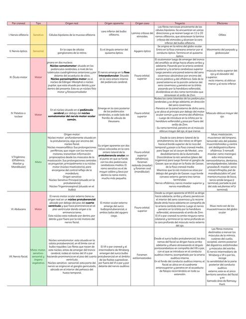 Pares craneales | Itzel Tapia | uDocz